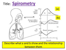 Spirometry (Using A Spirometer) - OCR AS/A Level Biology | Teaching ...