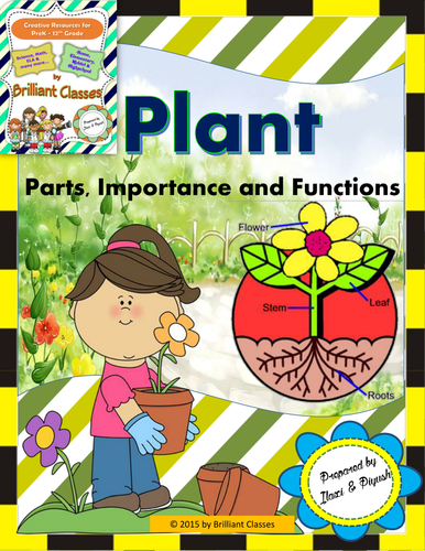 Plant and its Parts - Unit with Worksheets / Activities | Teaching ...