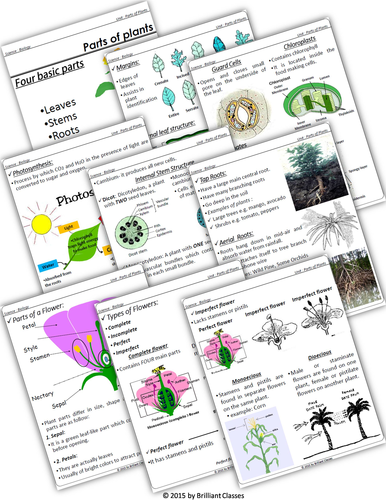 Plant and its Parts - Unit with Worksheets / Activities | Teaching ...