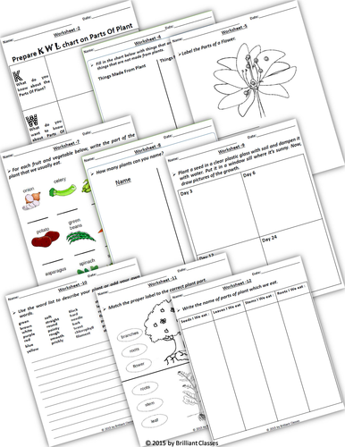 Plant and its Parts - Unit with Worksheets / Activities | Teaching ...