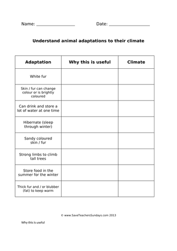 Animal Adaptations KS2 Lesson Plan and Worksheets | Teaching Resources