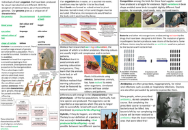 AQA Biology (9-1) Evolution and Variation Knowledge Organiser ...