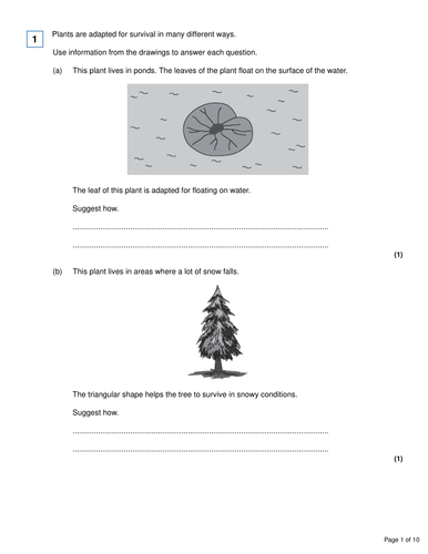 Plant adaptations GCSE biology low-mid ability | Teaching Resources