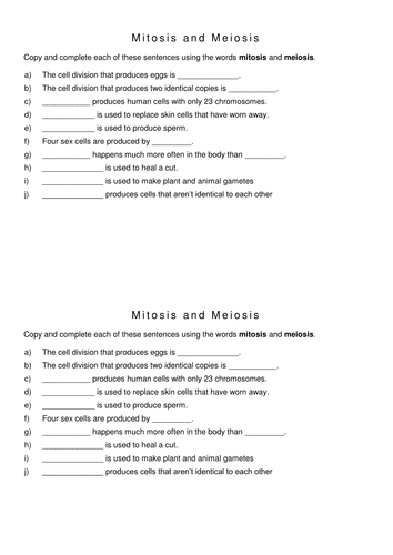 Mitosis and Meiosis | Teaching Resources