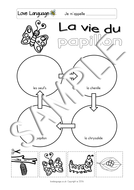 Life cycle of a butterfly in French bundle | Teaching Resources