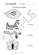 Life cycle of a butterfly in French bundle | Teaching Resources