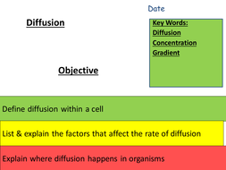 Diffusion | Teaching Resources