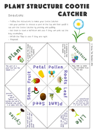Plant Structure Activity | Teaching Resources