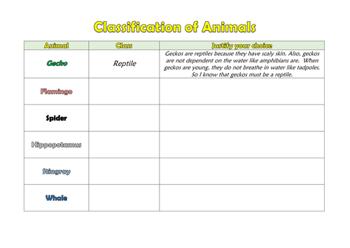 Classifying Animals! | Teaching Resources