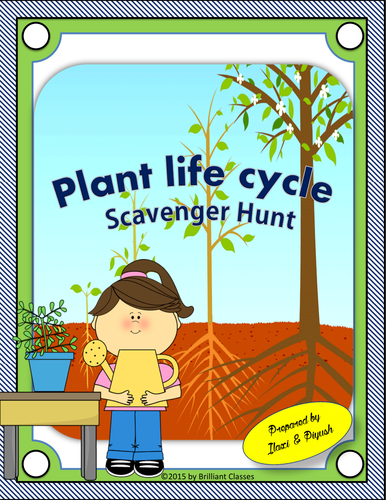 Plant Life Cycle Scavenger Hunt - An Activity | Teaching Resources