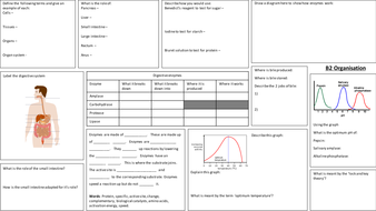 AQA B2 Organisation summary broad sheet | Teaching Resources