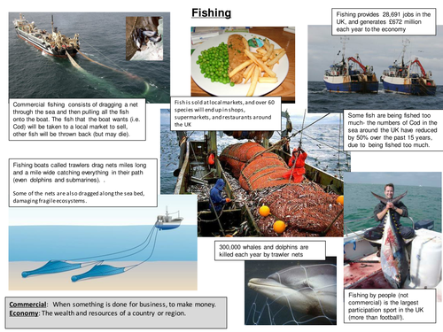 Human use of the coast. | Teaching Resources