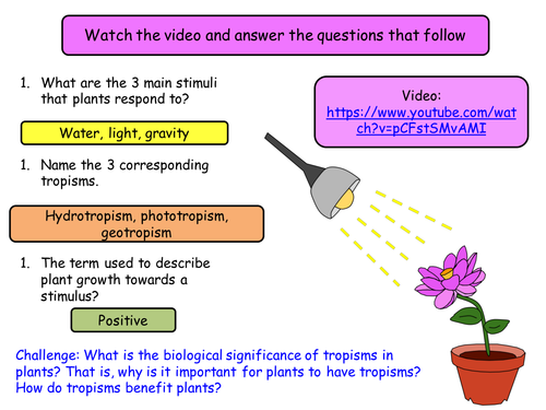 11.9 Plant hormones and responses GCSE (Grade 1-9) Biology only TRIPLE ...