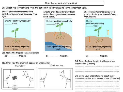 11.9 Plant hormones and responses GCSE (Grade 1-9) Biology only TRIPLE ...