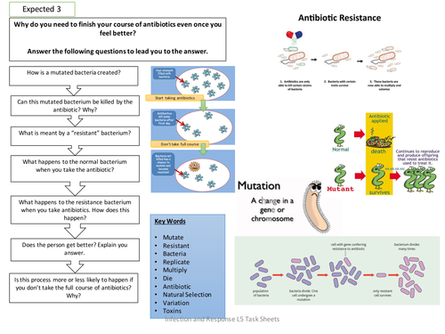 Antibiotic Resistance Differentiated Student Led Lesson for AQA Trilogy ...