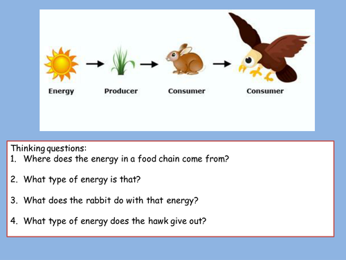 Energy in food lesson with worksheets and differentiation | Teaching ...