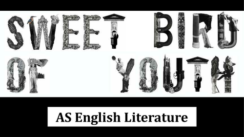 Tennessee Williams' 'Sweet Bird of Youth' - context lesson | Teaching ...