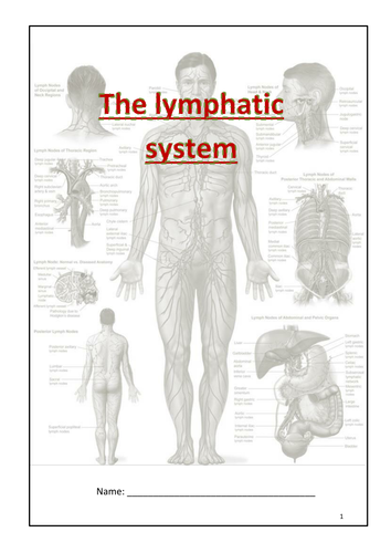 Lymphatic systems work booklet | Teaching Resources