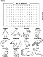 Arctic Animals Word Search | Teaching Resources