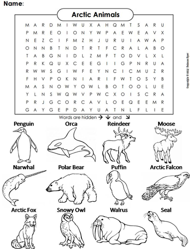 Arctic Animal Word Search Worksheets