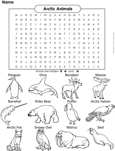 Arctic Animals Word Search | Teaching Resources