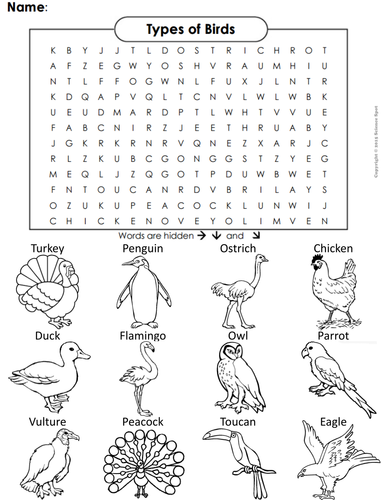 Types of Birds Word Search | Teaching Resources