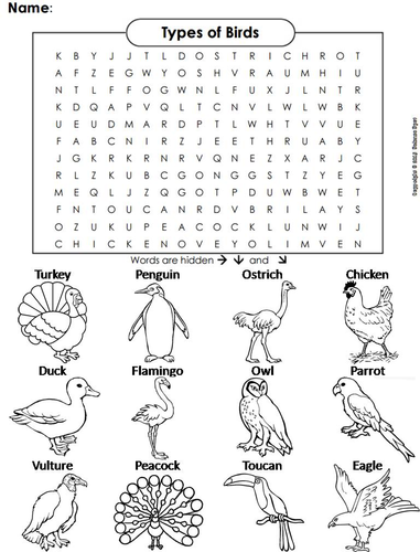 Types of Birds Word Search | Teaching Resources