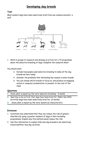 New AQA GCSE Biology Inheritance Lesson 7: Selective Breeding ...
