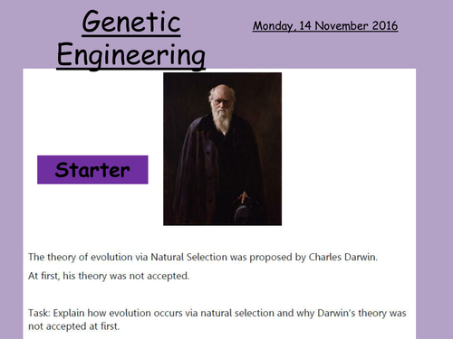 New AQA GCSE Biology Inheritance Lesson 8: Genetic Engineering ...