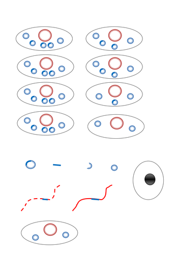 New AQA GCSE Biology Inheritance Lesson 8: Genetic Engineering ...