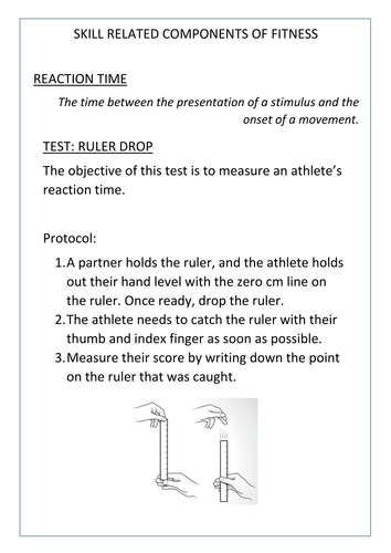 Skill related components of fitness test protocol worksheets | Teaching ...