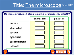 Year 7 Cells lesson 3 - Microscopes and onion cell practical | Teaching ...