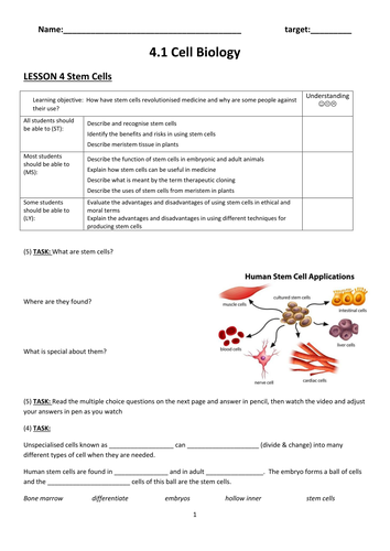 Lesson 4 Stem Cells AQA Trilogy GCSE (9-1) 4.1 Cell Biology | Teaching ...