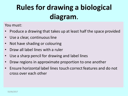 Required Practical 1 Aqa Trilogy Gcse 9 1 4 1 Cell Biology Teaching