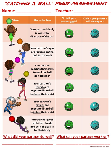 PE Assessment Series: Catching a Ball- 4 Versions | Teaching Resources