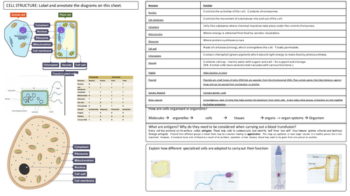 AQA iGCSE Biology Revision Mindmaps and Diagrams Triple Award and ... AQA iGCSE Biology Revision Mindmaps and Diagrams Triple Award and ...