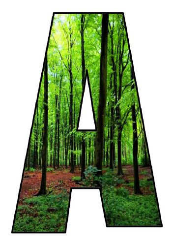 TREE THEME DISPLAY LETTERING - LETTERS NUMBERS AND PUNCTUATION ...