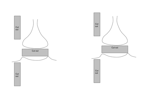 Modelling a synapse | Teaching Resources