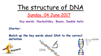 AQA Biology 1-9 GCSE- DNA, protein synthesis and mutations | Teaching ...