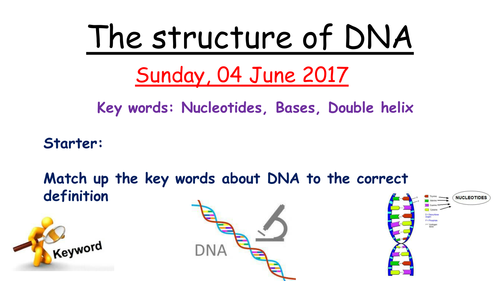 AQA Biology 1-9 GCSE- DNA, protein synthesis and mutations | Teaching ...