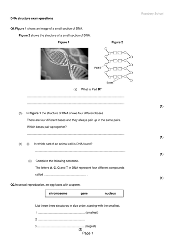 AQA Biology 1-9 GCSE- DNA, protein synthesis and mutations | Teaching ...