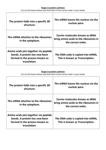 AQA Biology 1-9 GCSE- DNA, protein synthesis and mutations | Teaching ...