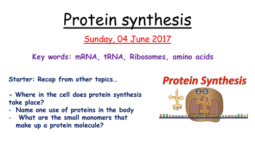 AQA Biology 1-9 GCSE- DNA, protein synthesis and mutations | Teaching ...