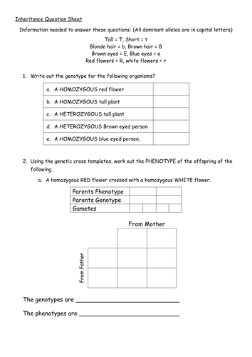 AQA 1-9 GCSE Inheritance series of lessons | Teaching Resources