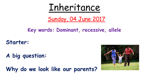 AQA 1-9 GCSE Inheritance series of lessons | Teaching Resources