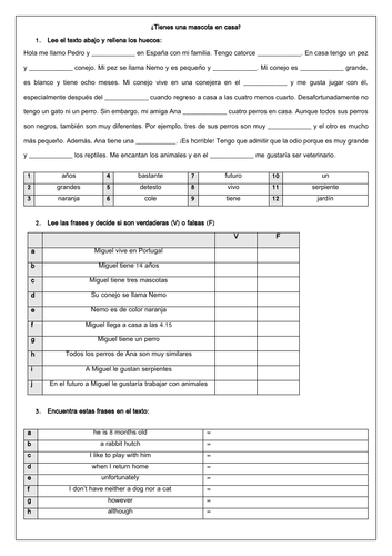 Spanish KS3 mis mascotas - pets & animals - reading, vocabulary ...