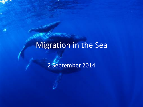 Marine Science - Migration | Teaching Resources