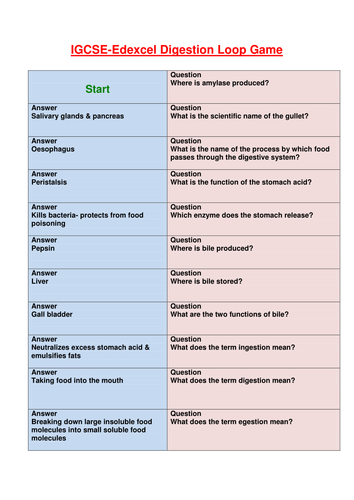 IGCSE Edexcel Digestion Revision Loop Game | Teaching Resources
