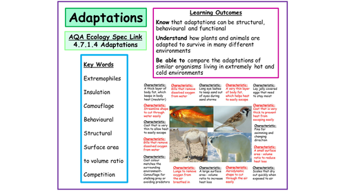 New AQA Ecology Secification- Adaptations- Powerpoint and Worksheets ...