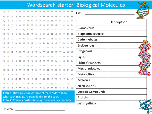 Science Biology Biological Molecules Wordsearch Crossword Anagrams ...